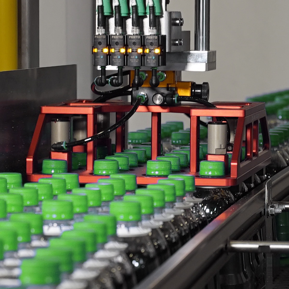 Co-Packer Multi-Pack Solutions